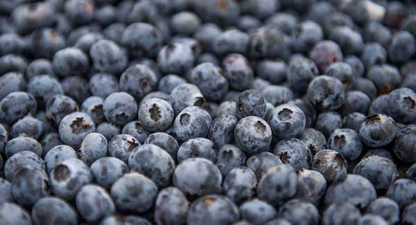 Inka's Berries | Peru
