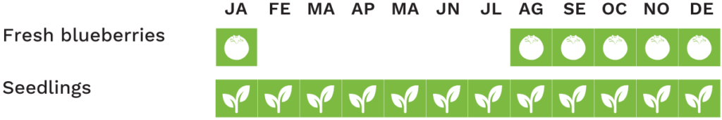 Inka's Berries | Peru