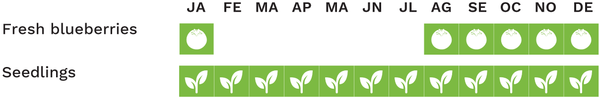 Inka's Berries | Peru