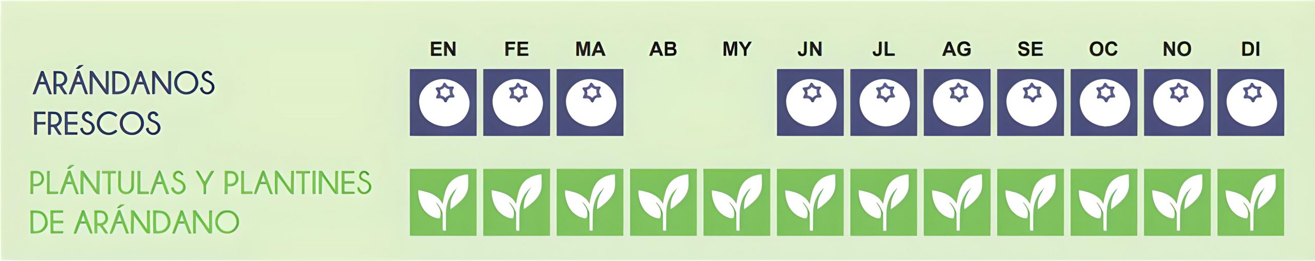 Inka's Berries | Peru